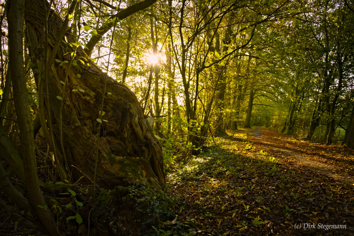 Ausflugslokal Dillmanns Speicher in Nordwalde
